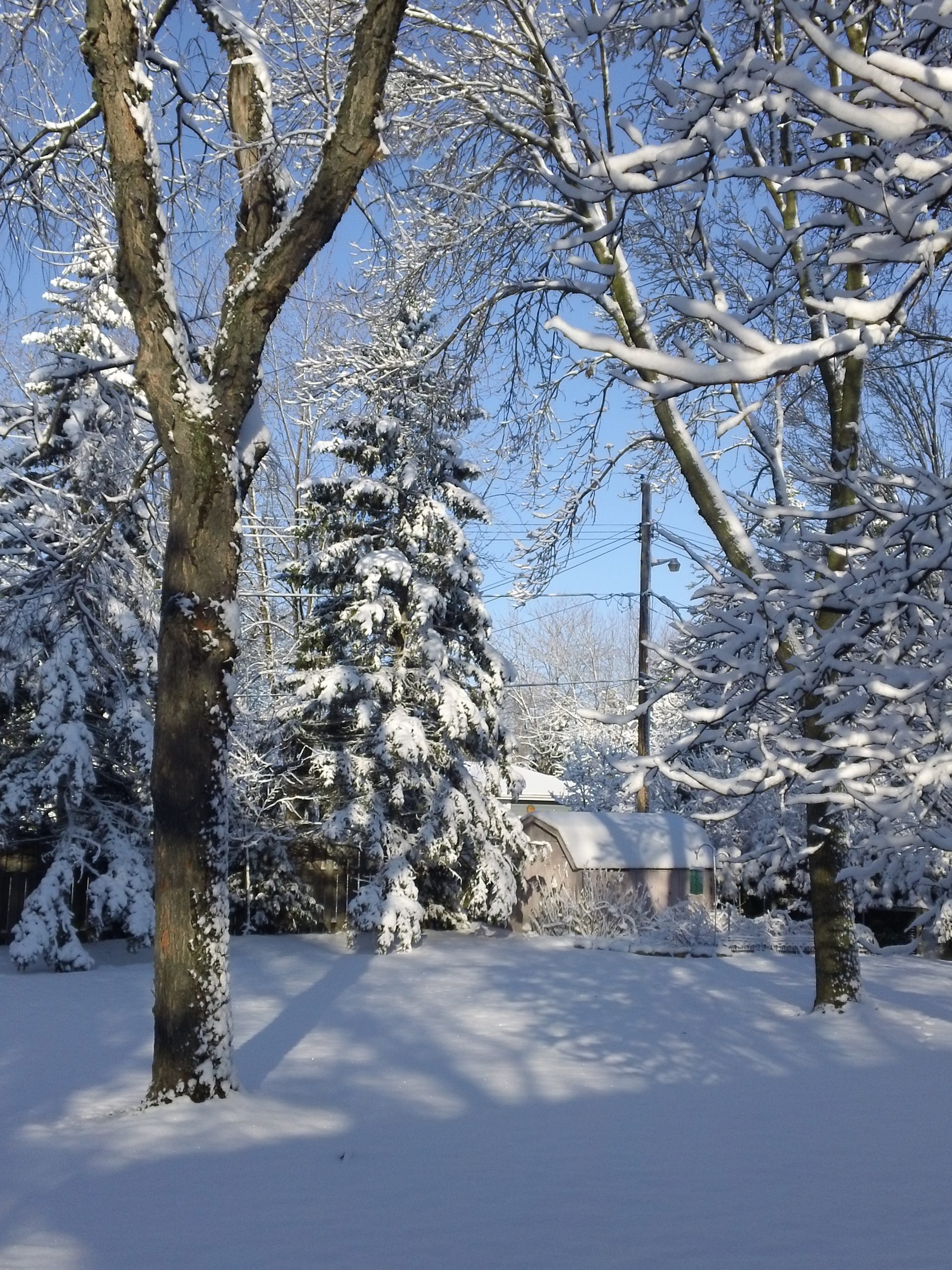 Fresh April Snow Delays Work in the Garden Yet Again! - Canning Season